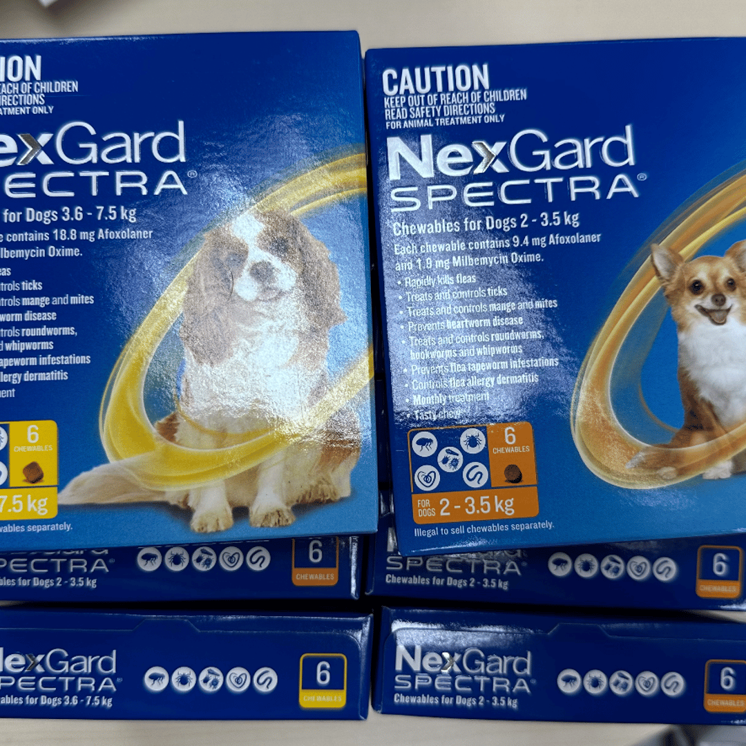 Nextgard | Buy&Ship（香港）