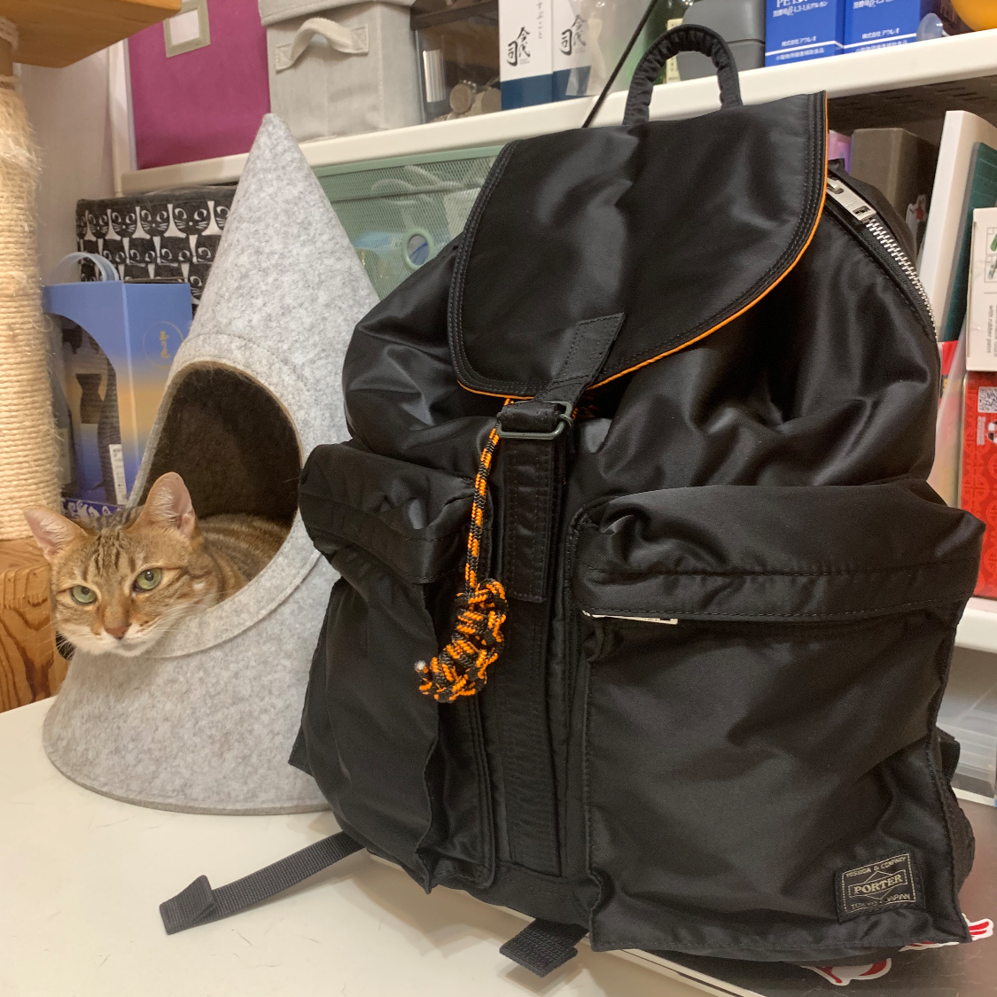 Porter Tanker Backpack | Buyandship（台灣）