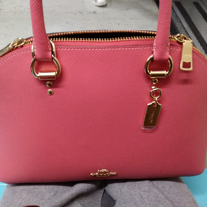 Coach watermelon | Buyandship Singapore